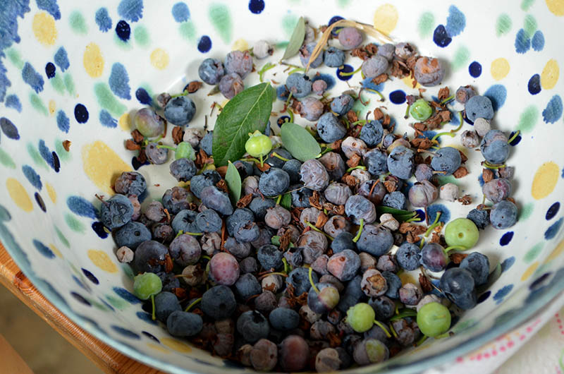 Health Page – Mother's Meadow